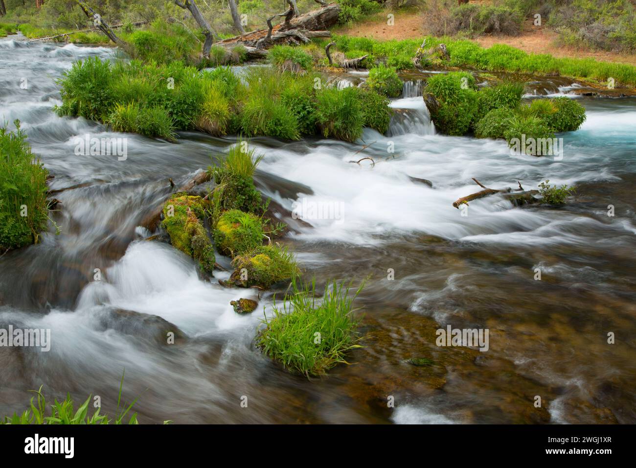 Spring Creek, Collier Memorial State Park, Oregon Stock Photo - Alamy