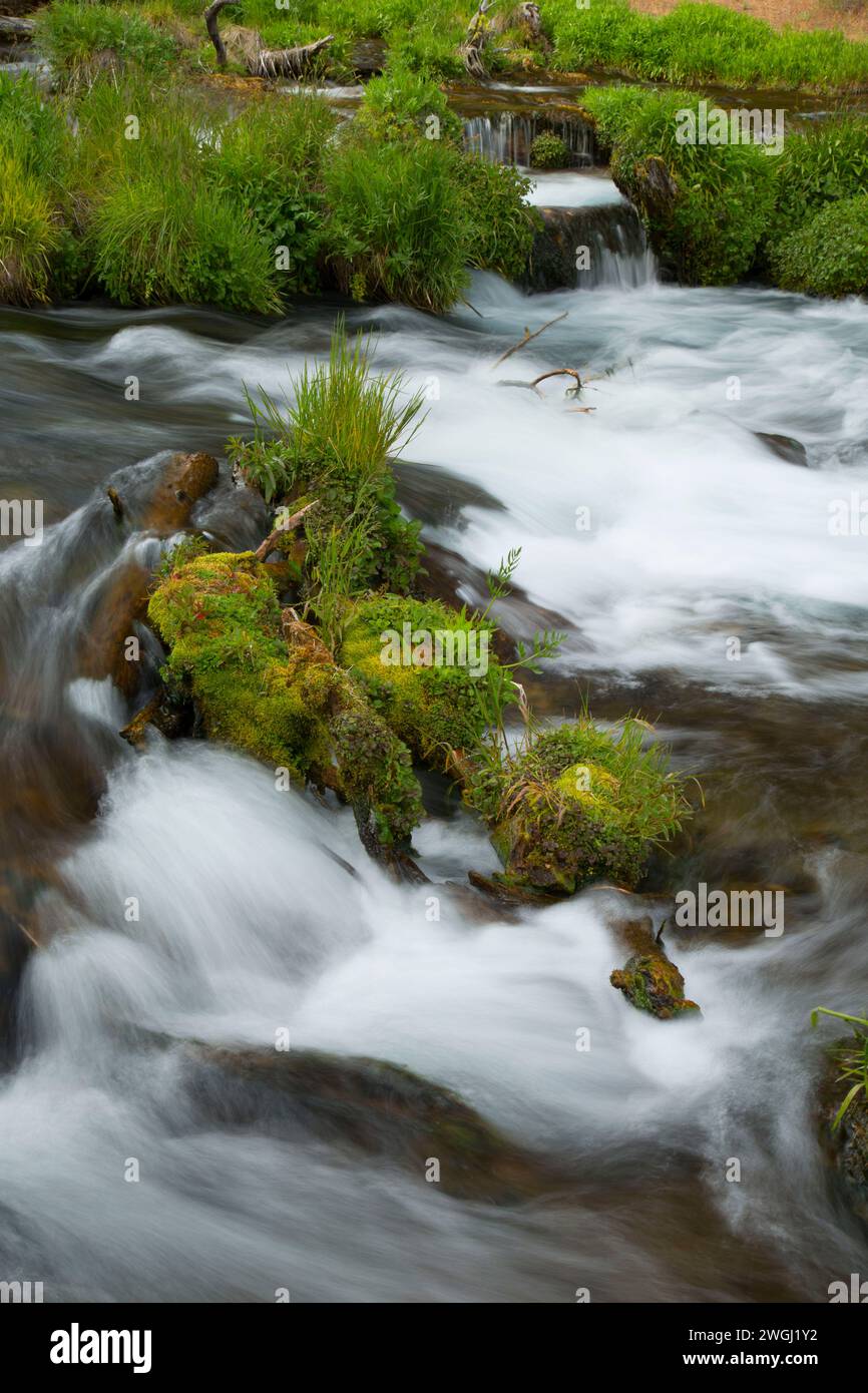 Spring Creek, Collier Memorial State Park, Oregon Stock Photo - Alamy