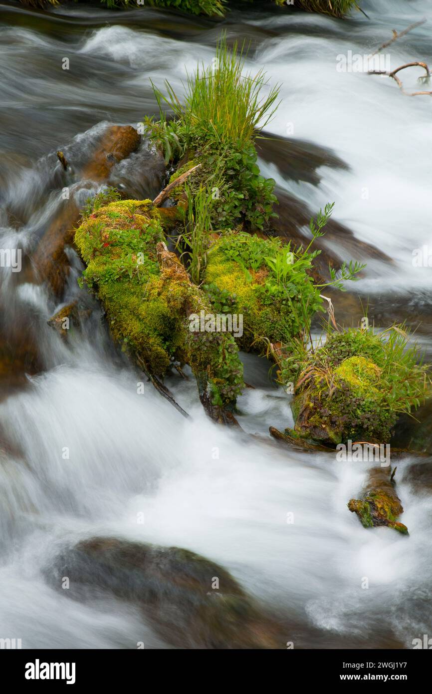 Spring Creek, Collier Memorial State Park, Oregon Stock Photo - Alamy