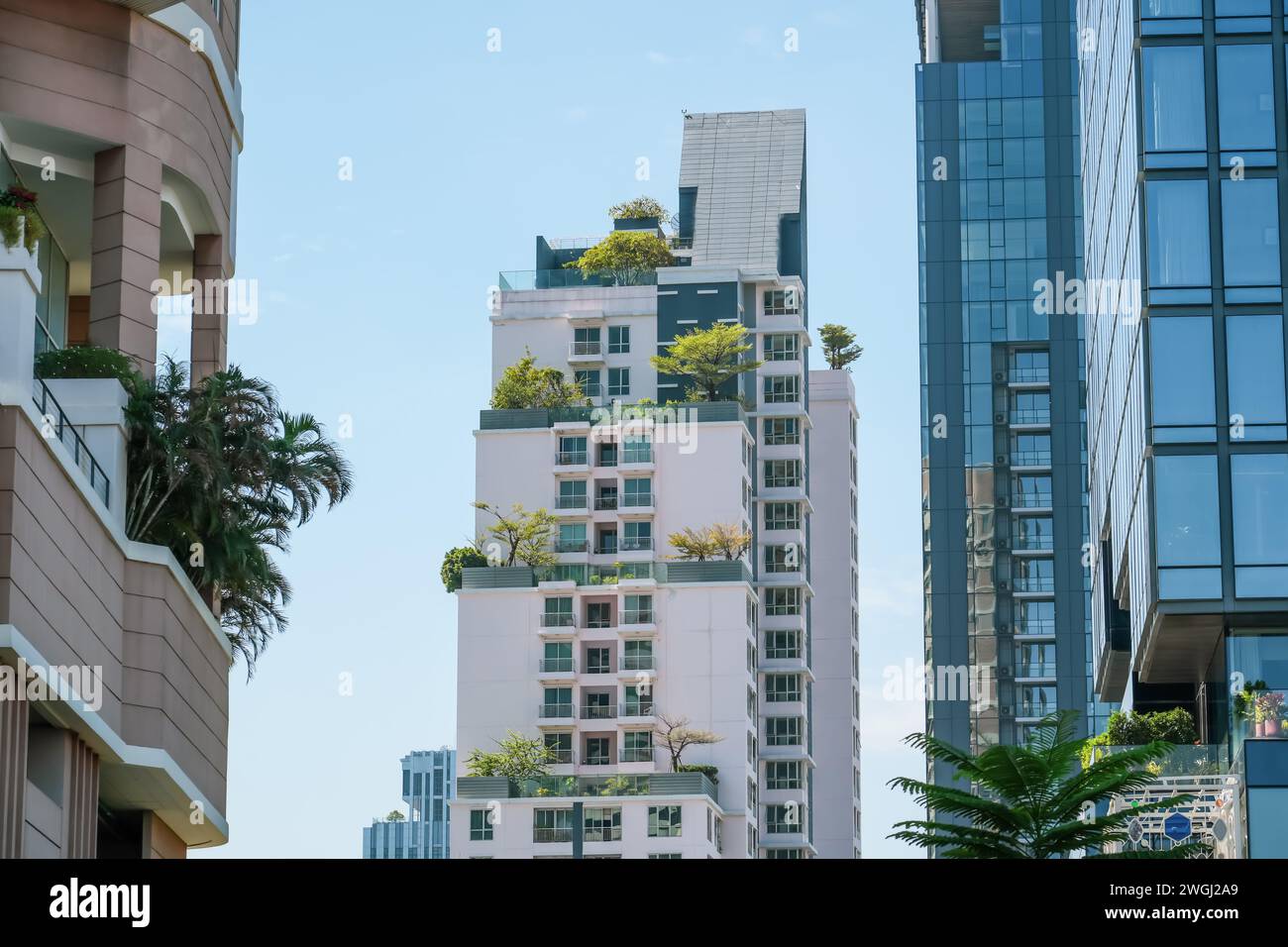 Trees plants on roof garden modern multistorey sunny building, inspired ...