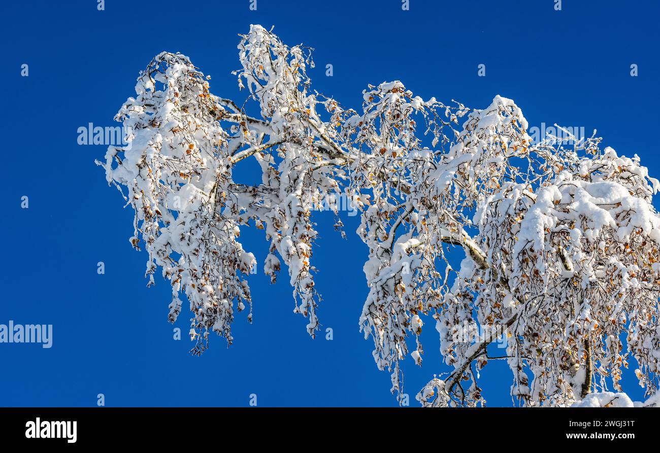Der Winter hat die Landschaft rund um die deutsche Gemeinde Degernau ...