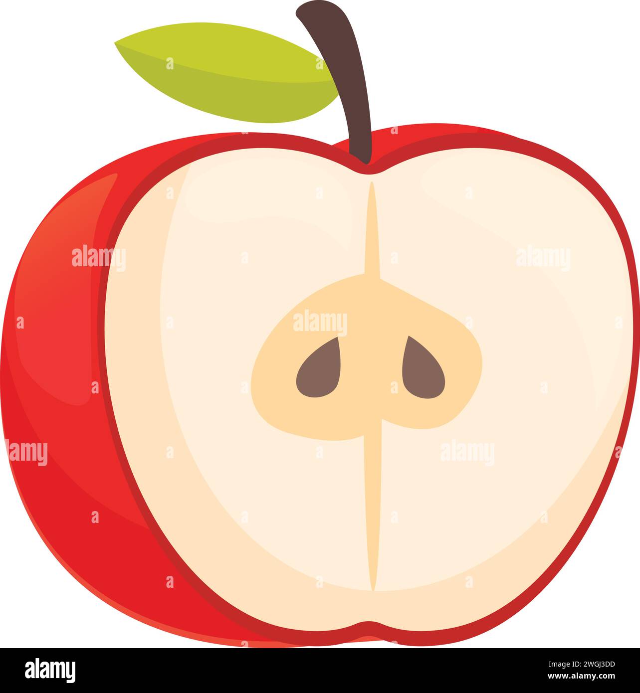 Color health fruit icon cartoon vector. Food core seed. Summer apple ...