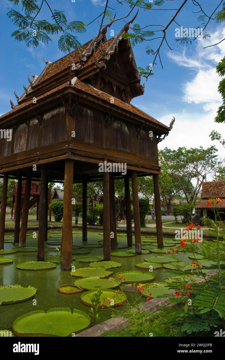 Wooden structure next to lily pads in a pond Stock Photo - Alamy