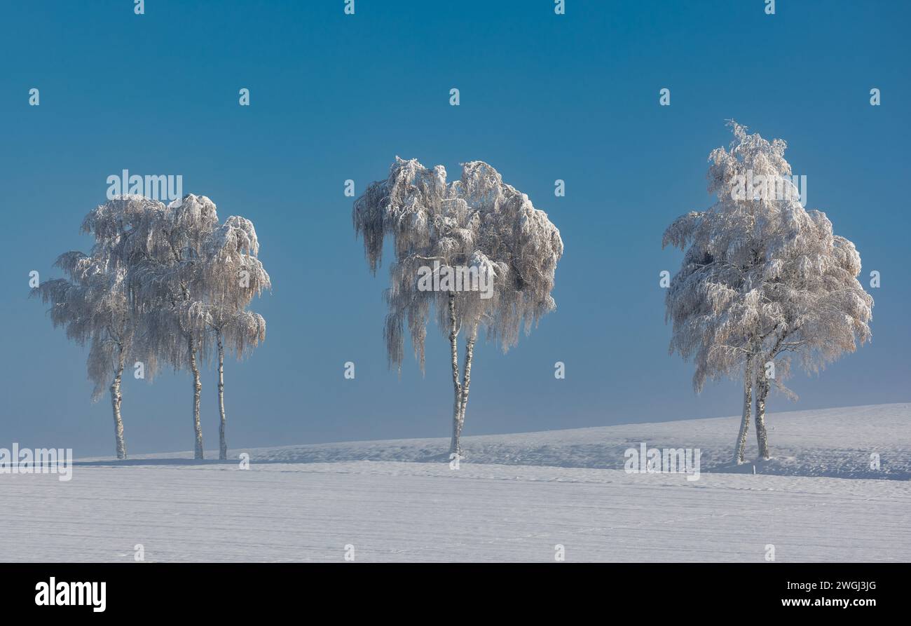 Fairy-tail landscape in Degernau, Germany. After heavy snow falls, the ...