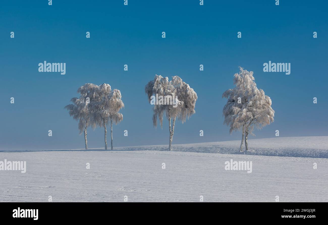 Der Winter hat die Landschaft rund um die deutsche Gemeinde Degernau ...