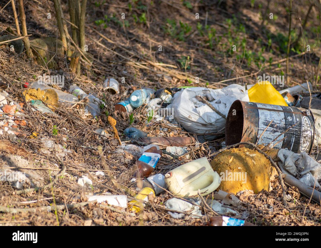 Human waste dumped in forest. Debris is polluting nature. No sorting of ...