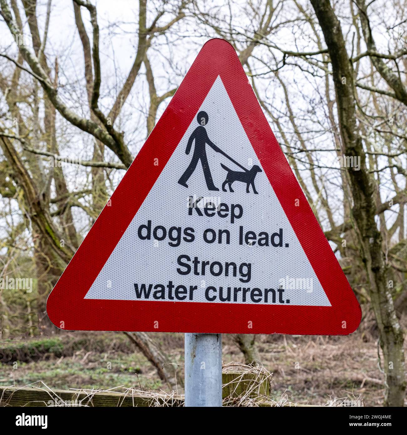 Keep dogs on lead, Strong water current, traffic warning sign in ...