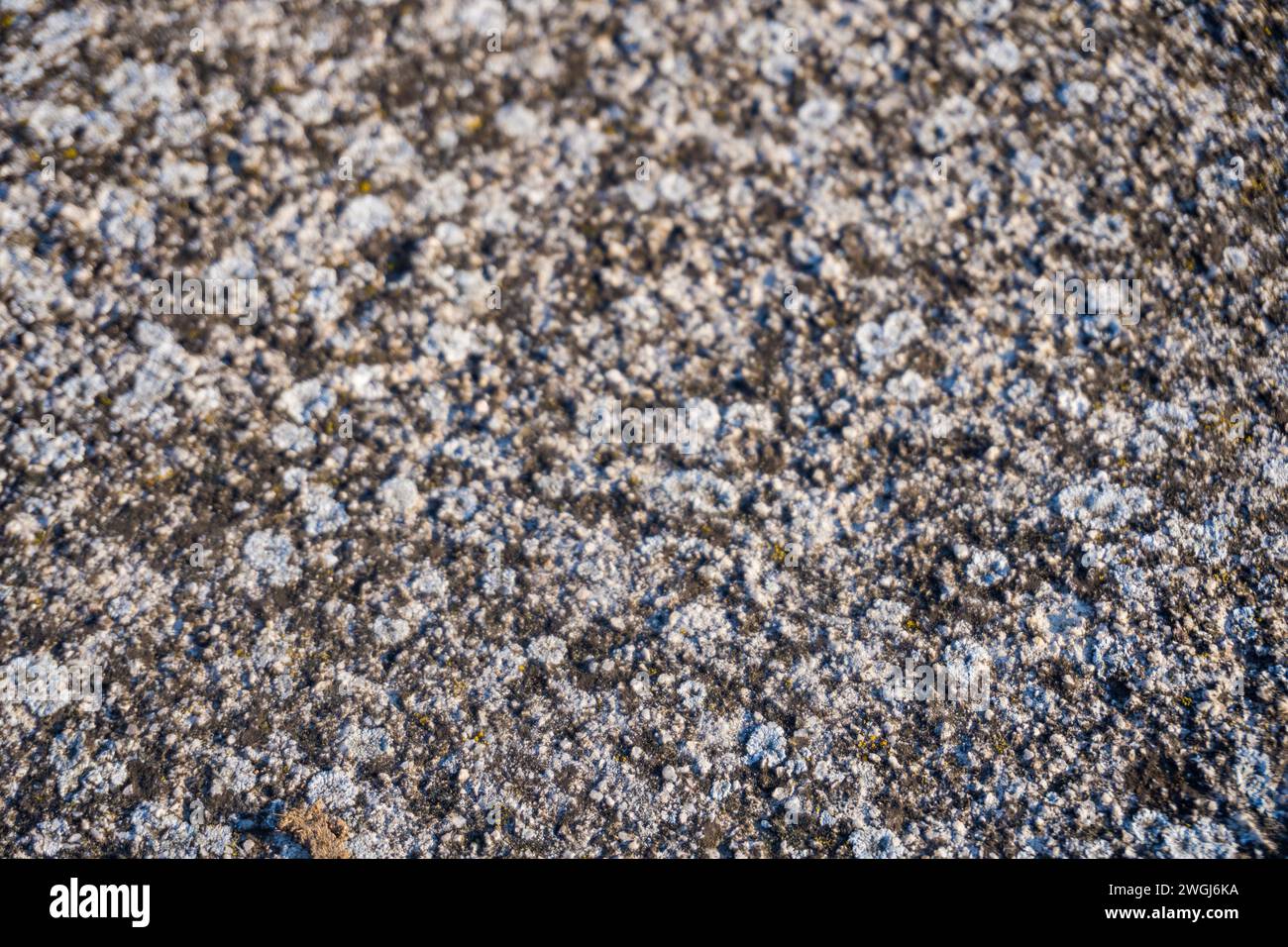 The cement-gray path on the street is made by hand. Close-up photos ...
