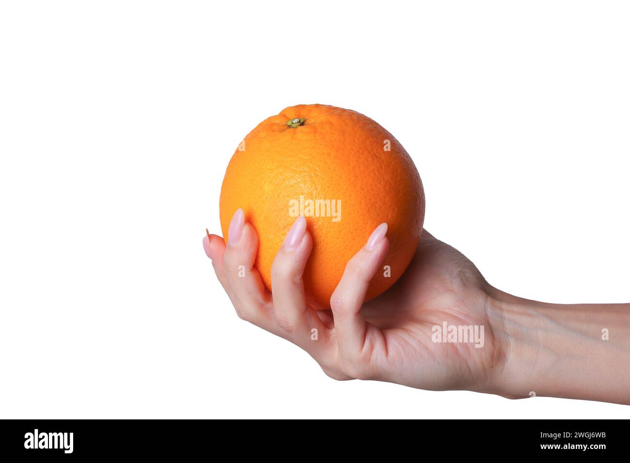 A woman's hand gripping a vibrant orange on a clean white backdrop ... A woman's hand gripping a vibrant orange on a clean white backdrop ...