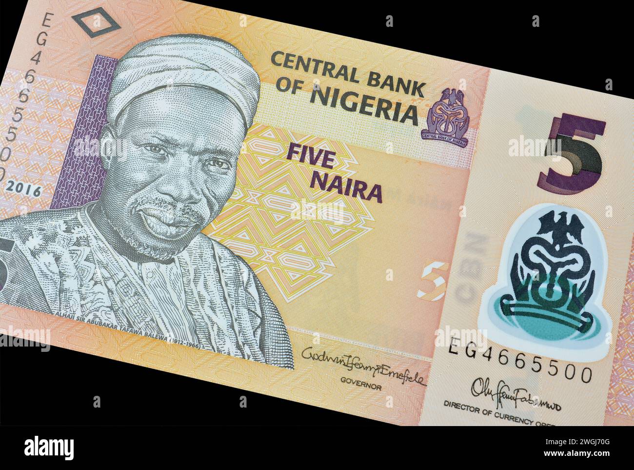 Obverse of 5 Naira banknote printed by Nigeria, that shows Portrait of ...