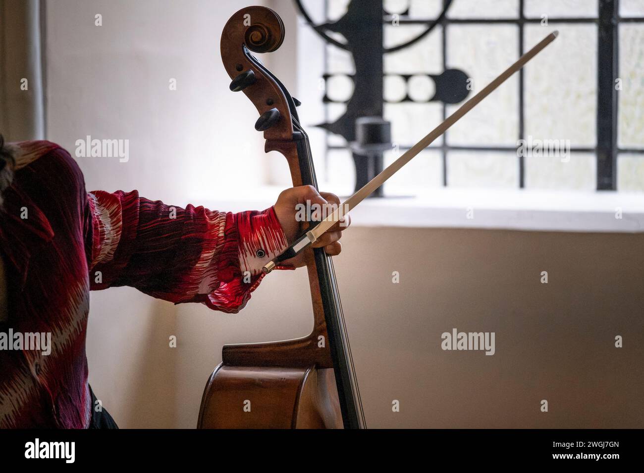 A musician holding a cello and a bow Stock Photo - Alamy