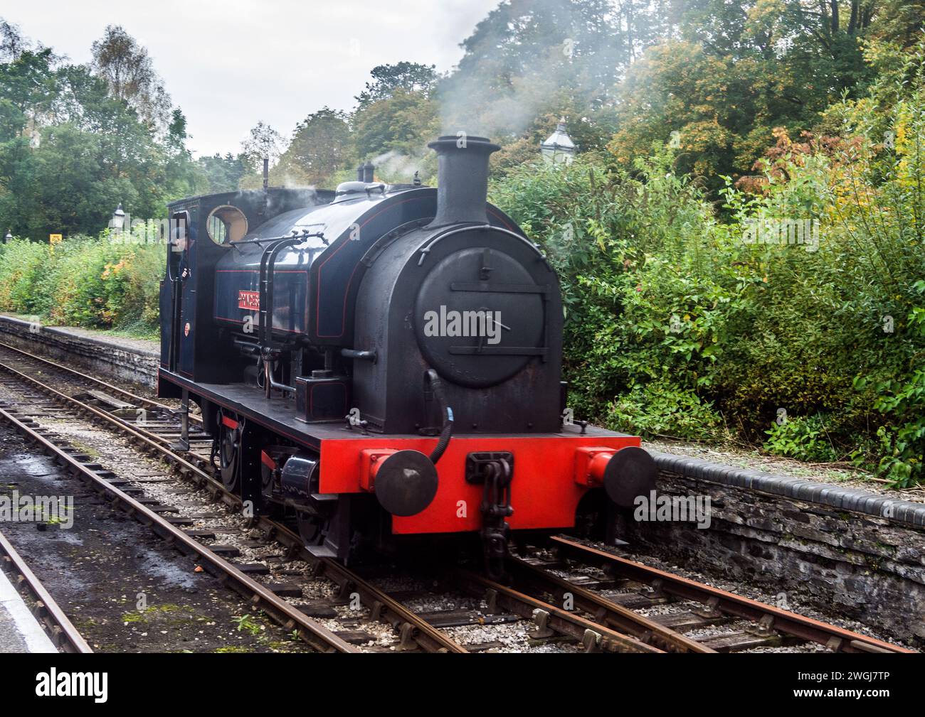 Steam locomotive "Princess" on the Lakeside and Haverthwaite Railway ...