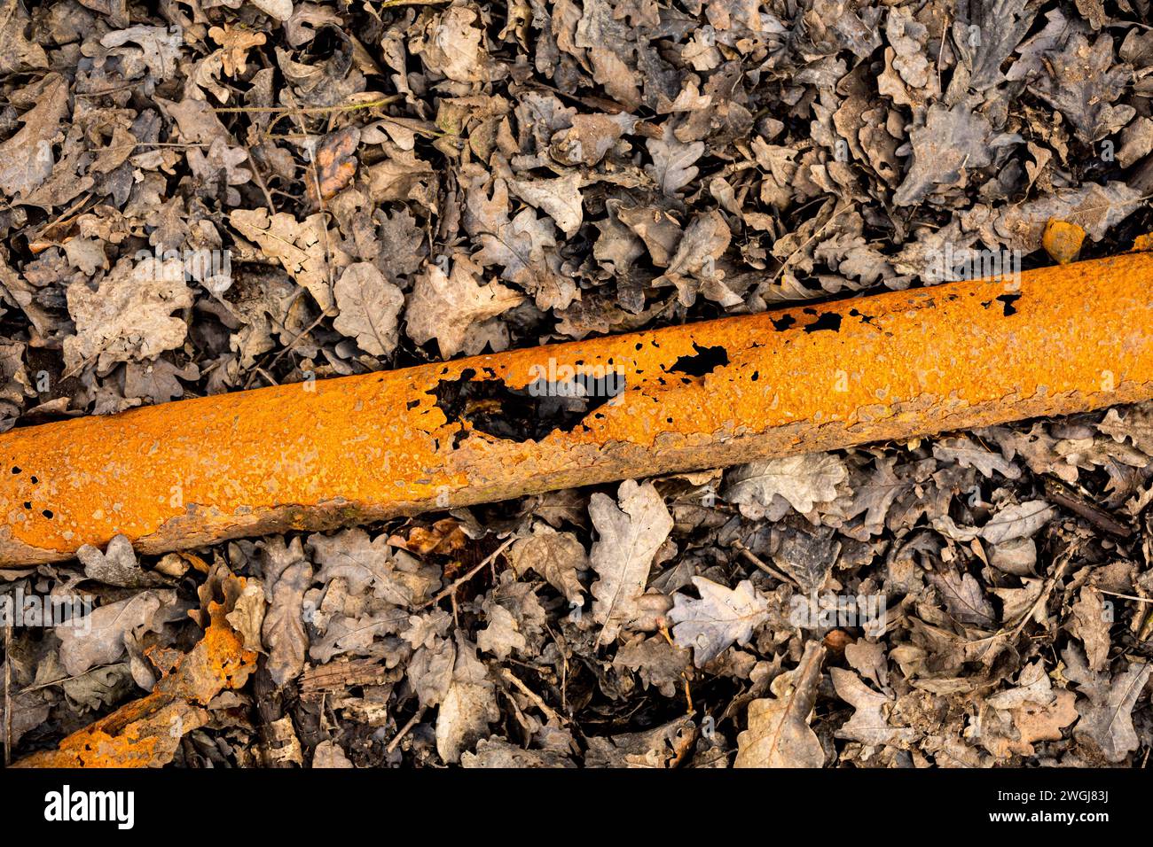 Holes in a rusty hi-res stock photography and images - Alamy