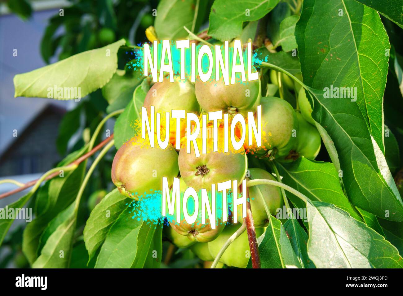 Celebrating National Nutrition Month in the USA Amongst Blossoming ...