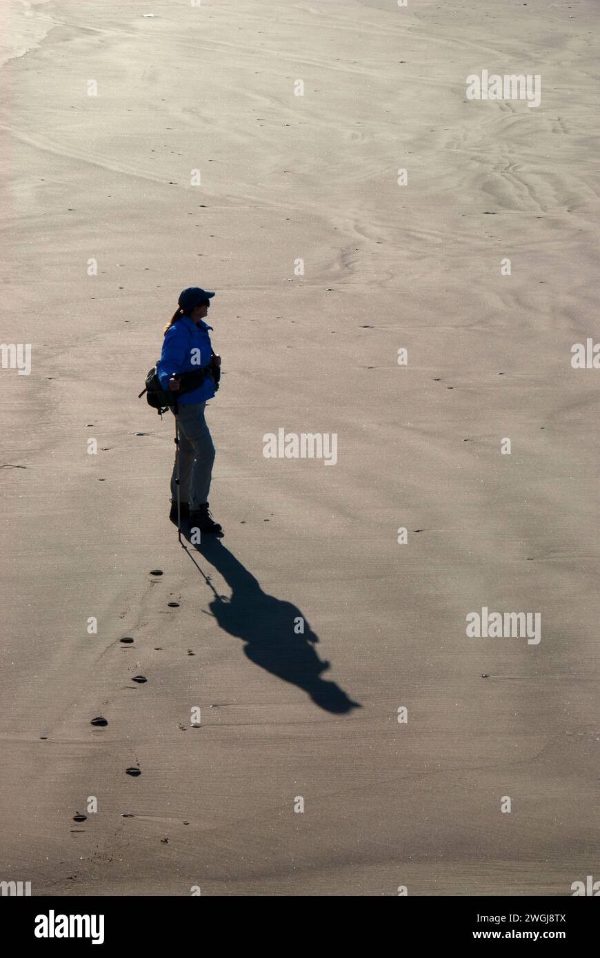 Bayocean Peninsula beach silhouette, Bayocean Peninsula, Oregon Stock ...