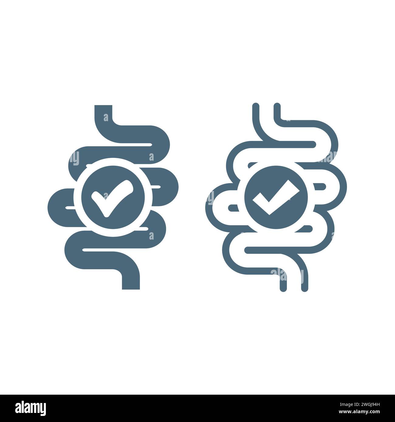 Healthy intestine vector icon. Bowels and checkmark, intestines symbol ...