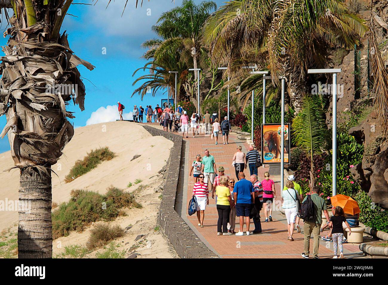 Touristen am strand von morro jable hi-res stock photography and images ...