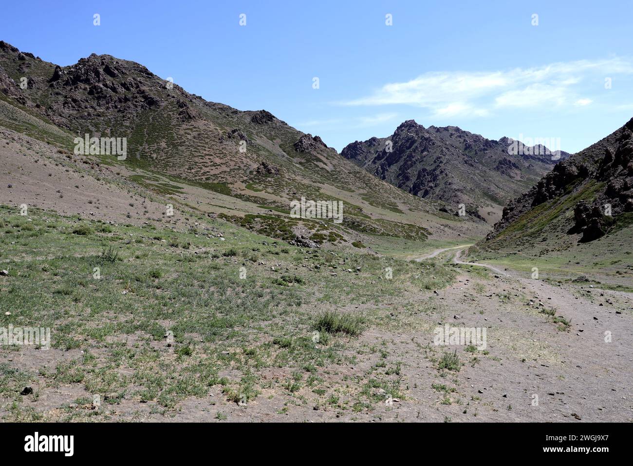 View of Yolyn Am the amazing george in Mongolia Stock Photo - Alamy