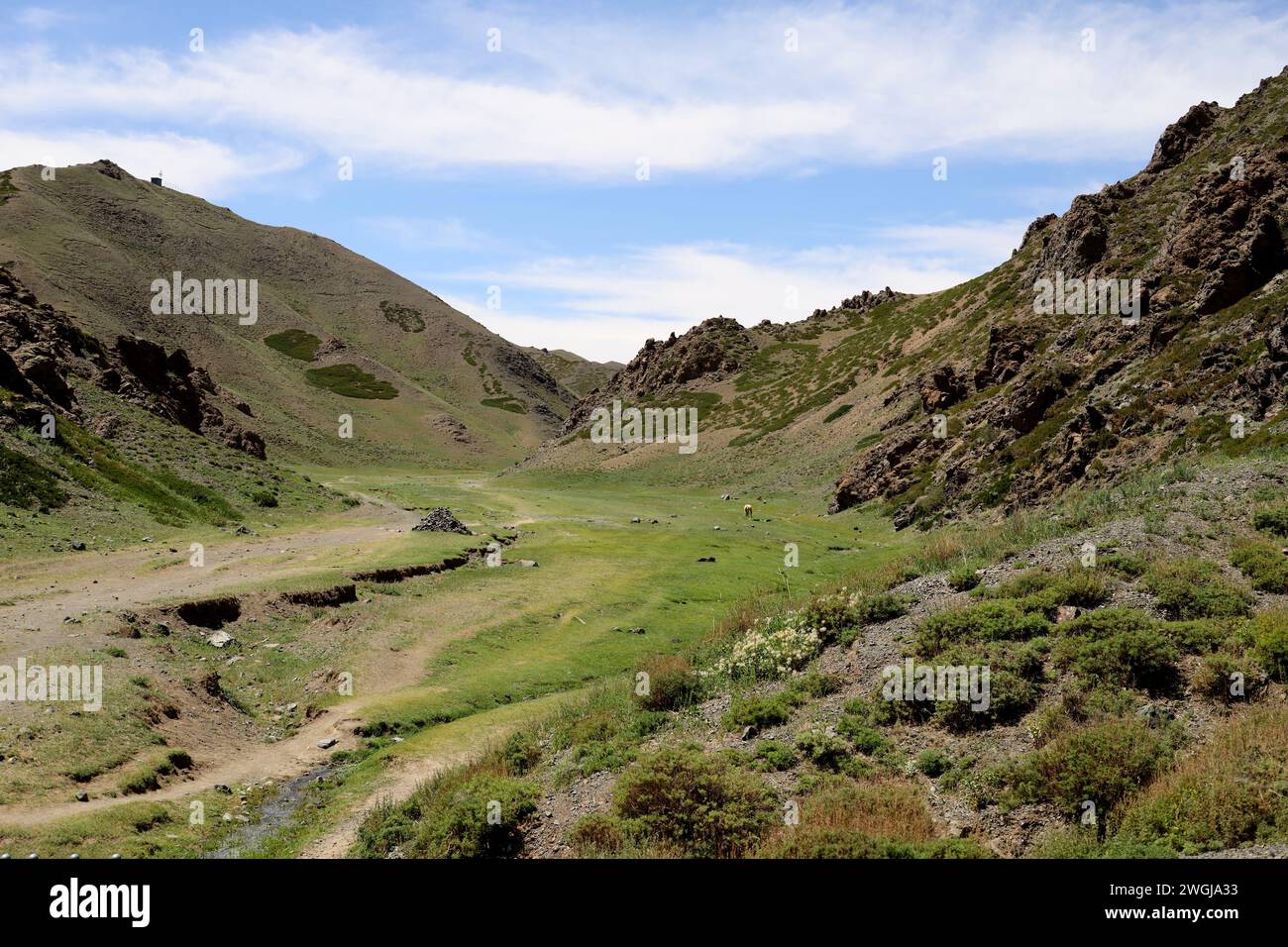 View of Yolyn Am the amazing george in Mongolia Stock Photo - Alamy