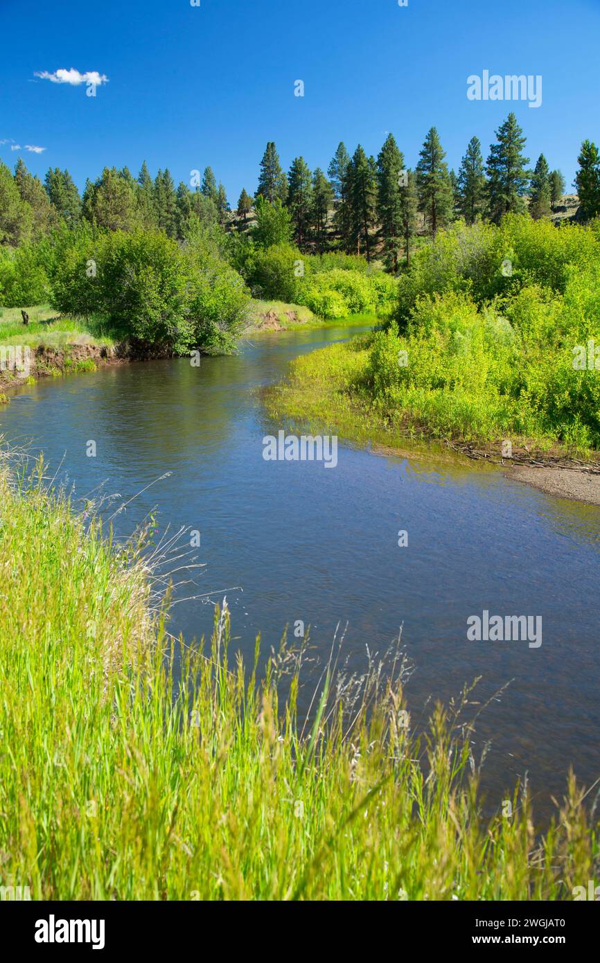 Sprague River, Fremont National Forest, Oregon Stock Photo - Alamy