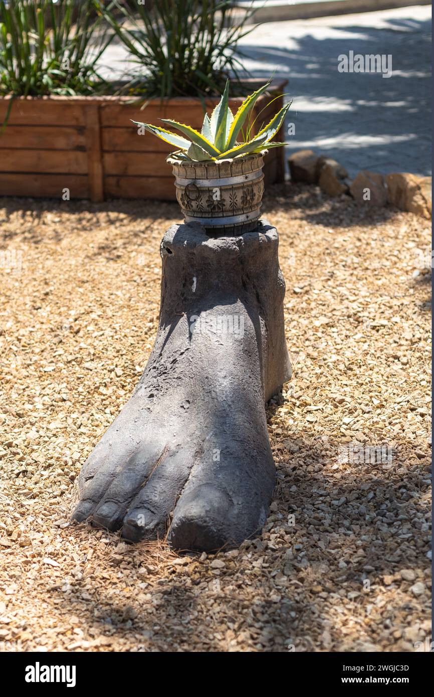 giant gypsum decorative foot with cactus plant on top Stock Photo - Alamy