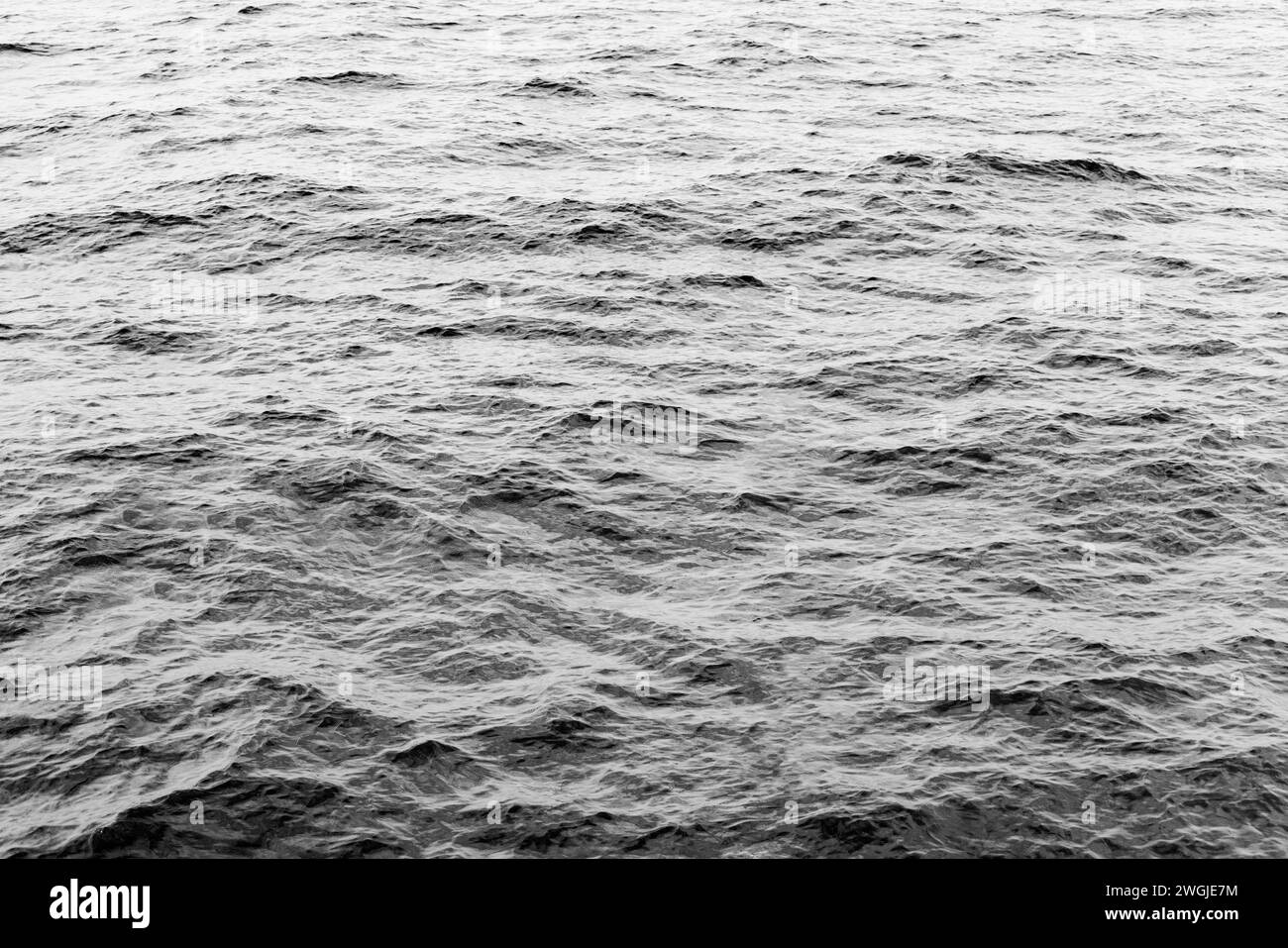 Rippling waves create a dynamic texture across the ocean's surface, a ... Rippling waves create a dynamic texture across the ocean's surface, a ...