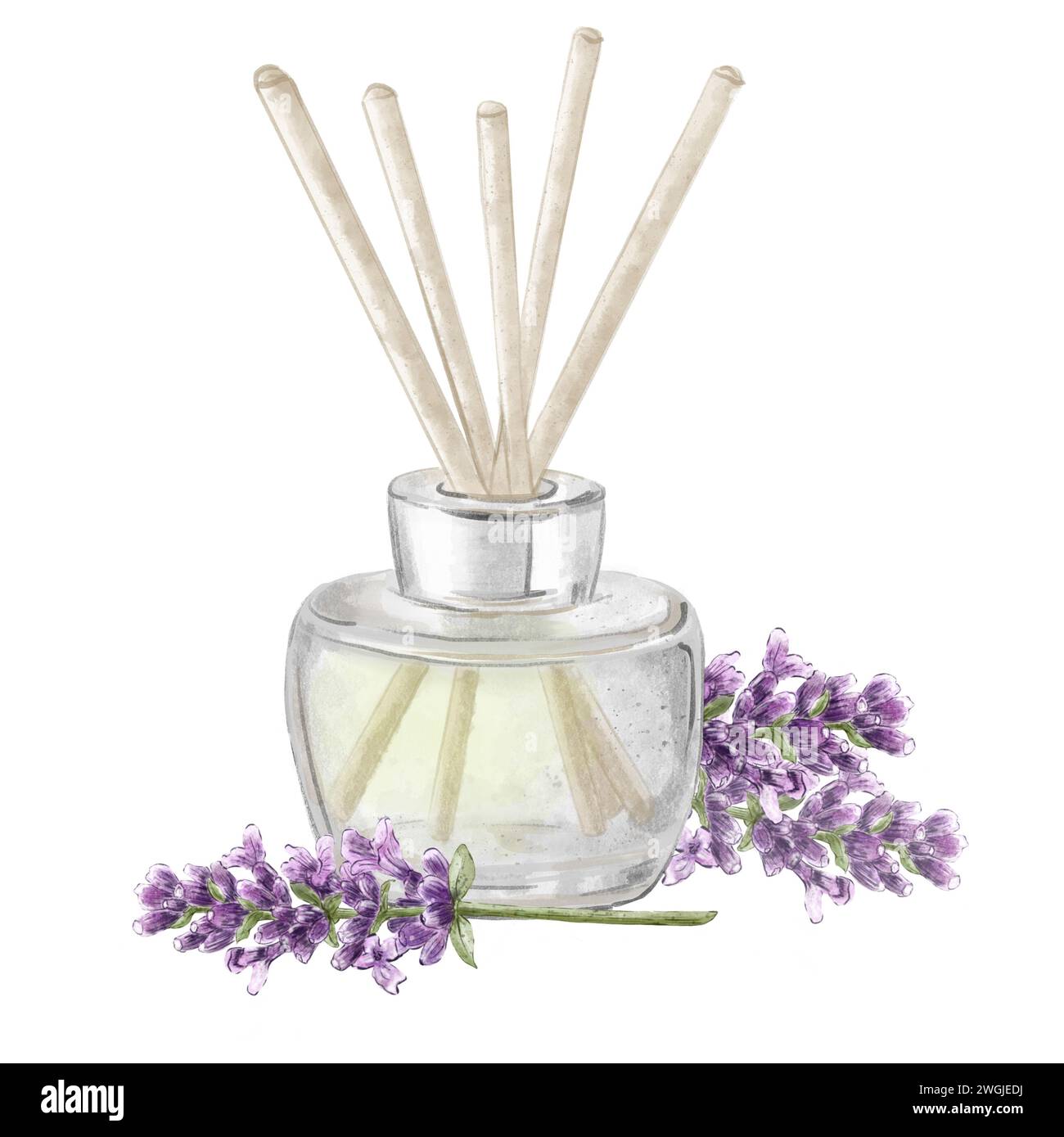 Sketch hand drawing diffuser hi-res stock photography and images - Alamy