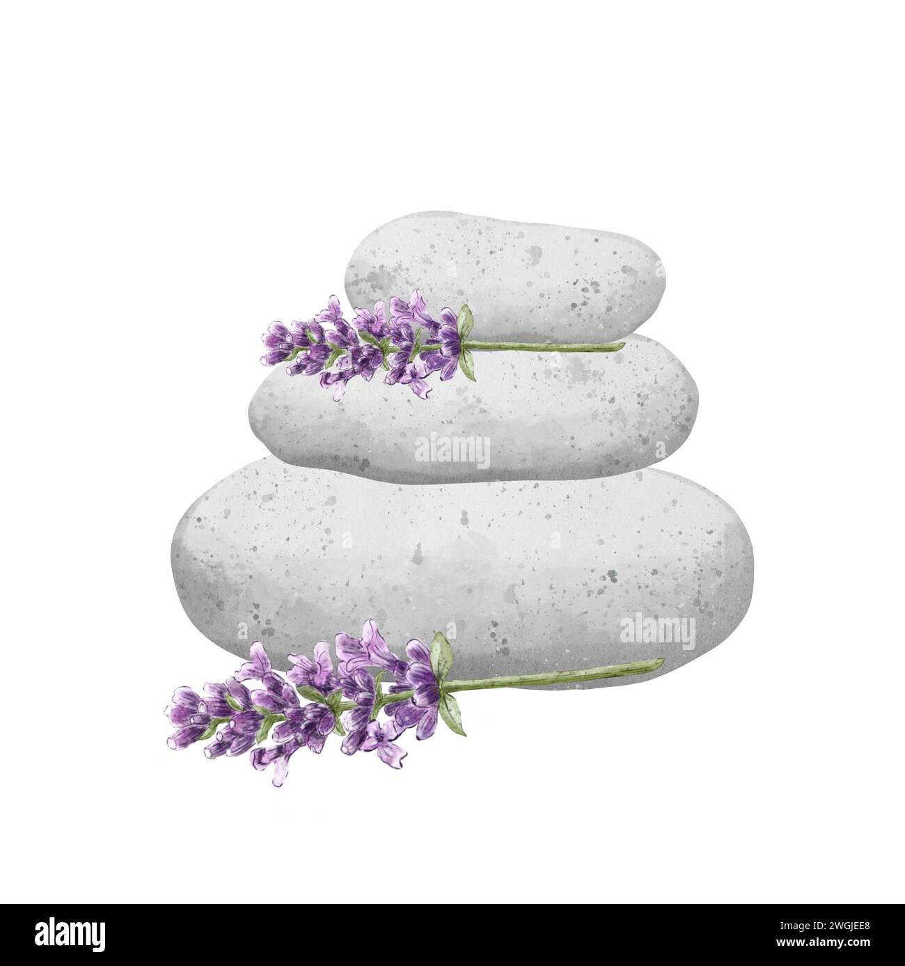 Spa Composition with massage stones and lavender flowers. Beauty spa ...