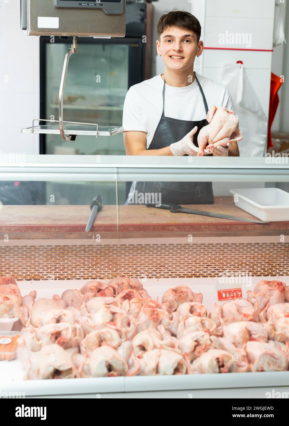 Young butchery shop offering fresh raw gutted broiler chicken Stock ...