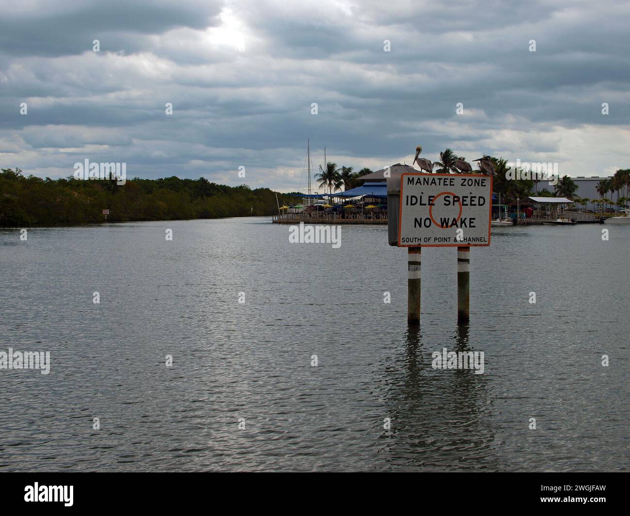 Sign warning of manatee zone in Black Point Marina, Miami, Florida ...