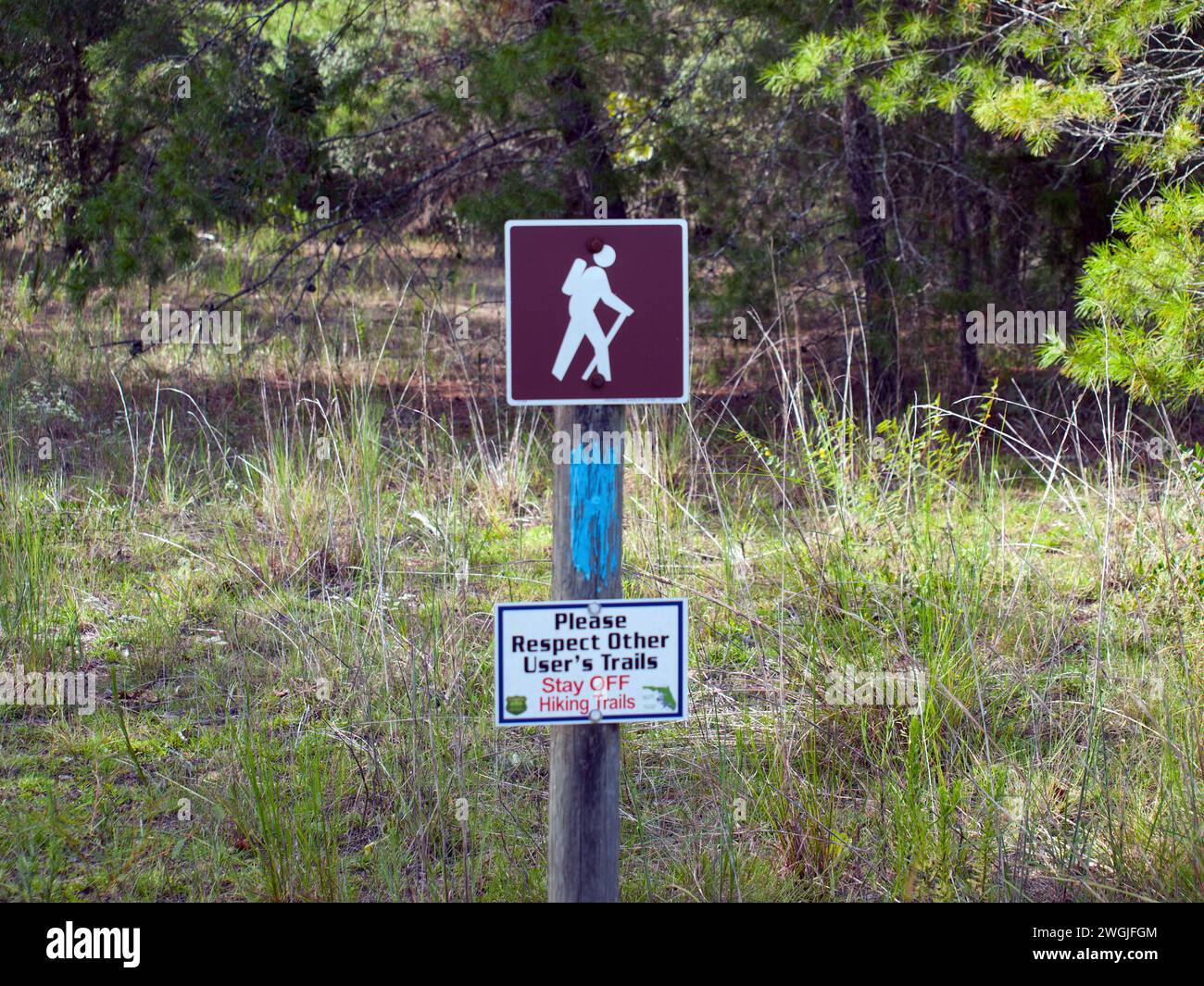 Withlacoochee State Forest, Florida, United States - March 14, 2018 ...