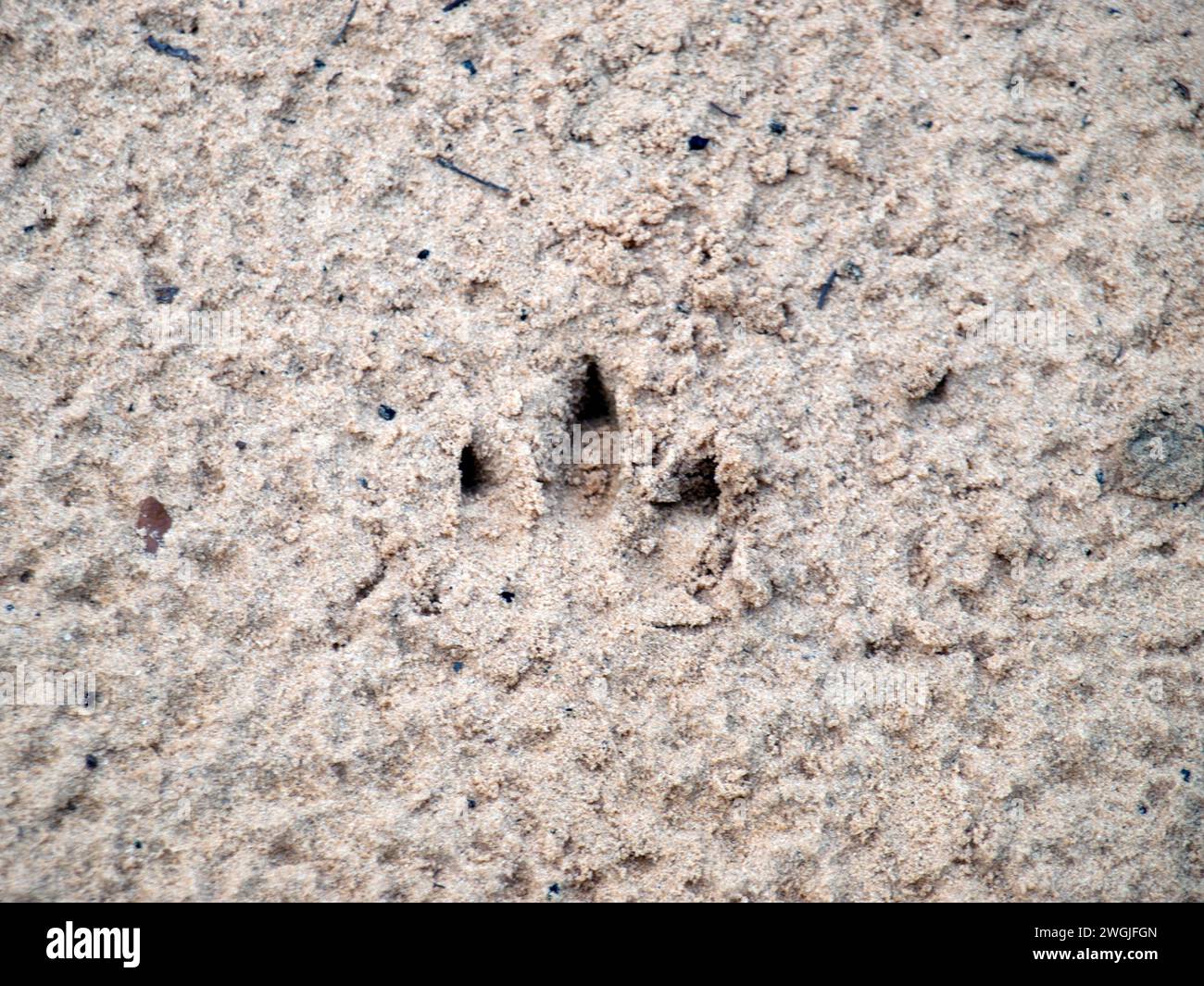 Terrain stamp hi-res stock photography and images - Alamy