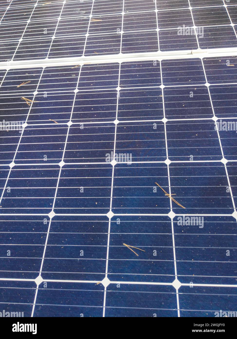 dirt on solar panel cells Stock Photo - Alamy