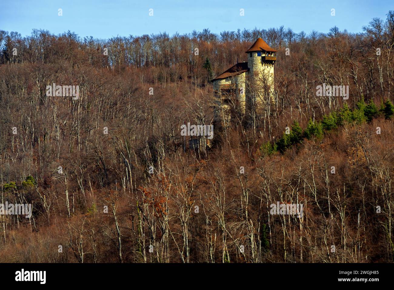 Reichenstein Castle (Arlesheim) in the municipality of Arlesheim in the ...
