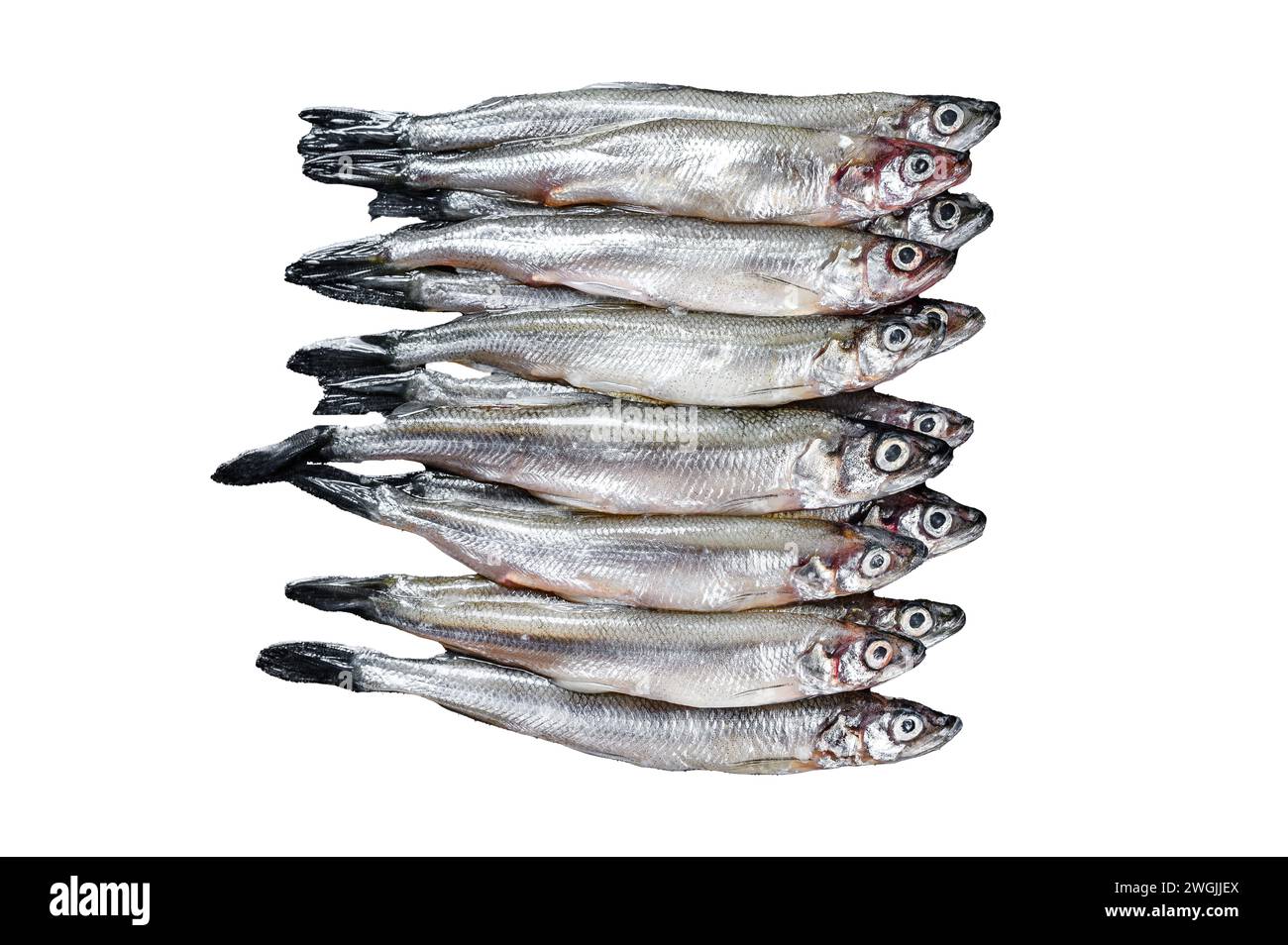 Raw fresh capelin fish. Isolated on white background. Top view Stock ...