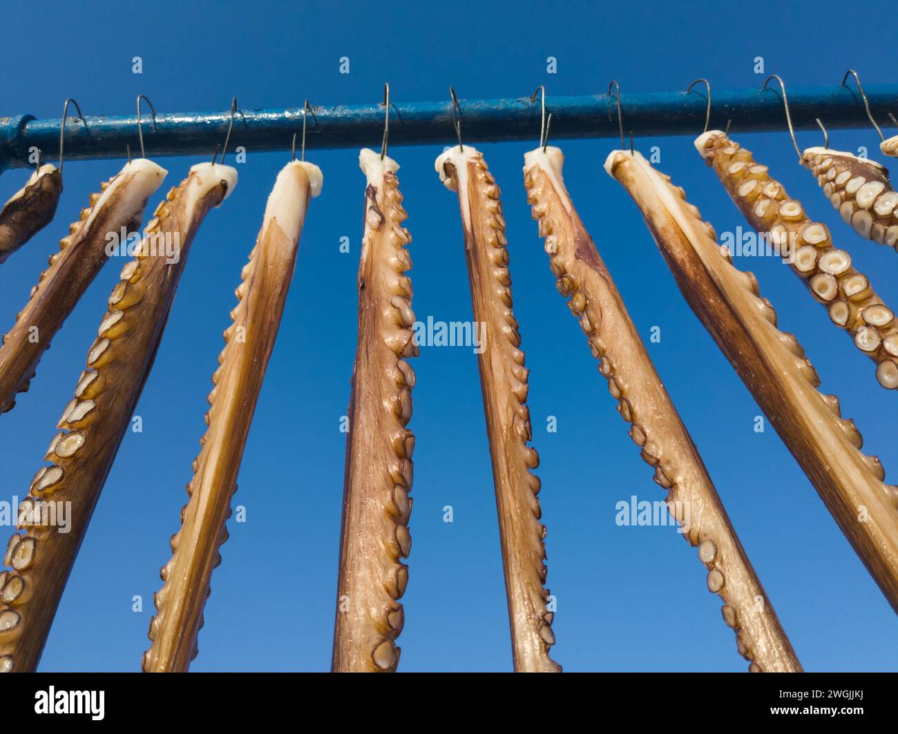 Grilled octopus sun dried hi-res stock photography and images - Alamy