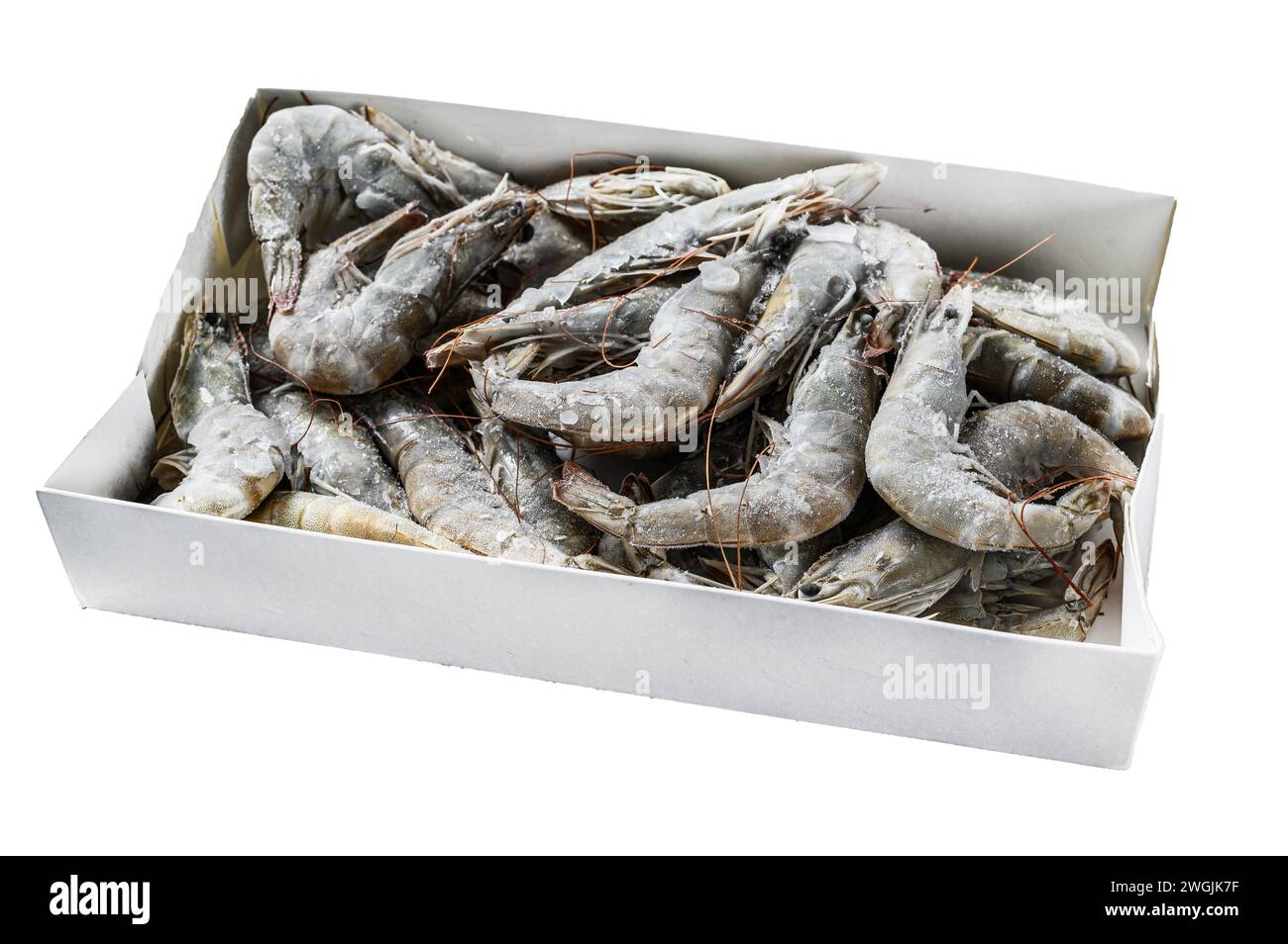 King fish on ice Cut Out Stock Images & Pictures - Alamy