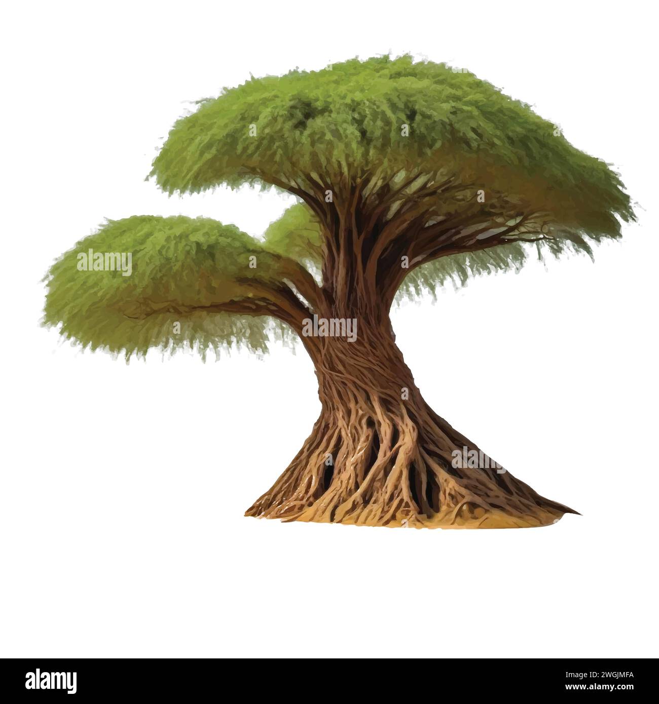 Tropical stem Stock Vector Images - Alamy