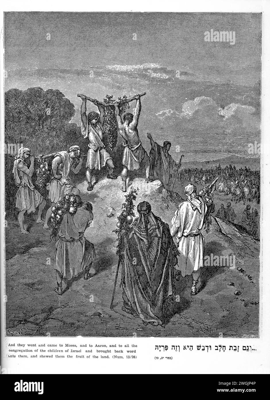 The Gustav Dore Illustrated Bible - the Old Testament and the Five ...