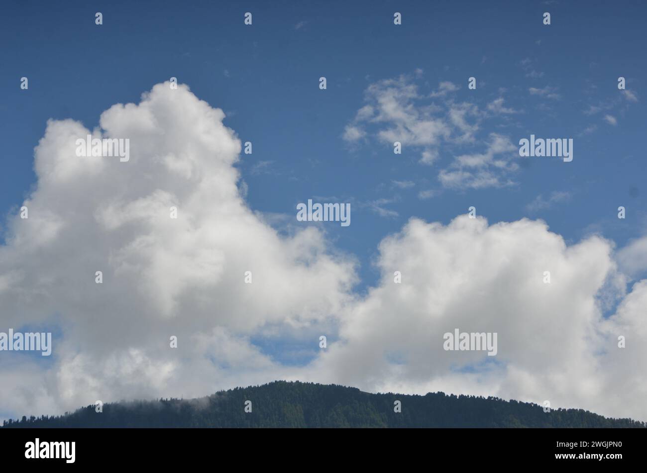 Snowy forest on cloudy hi-res stock photography and images - Alamy