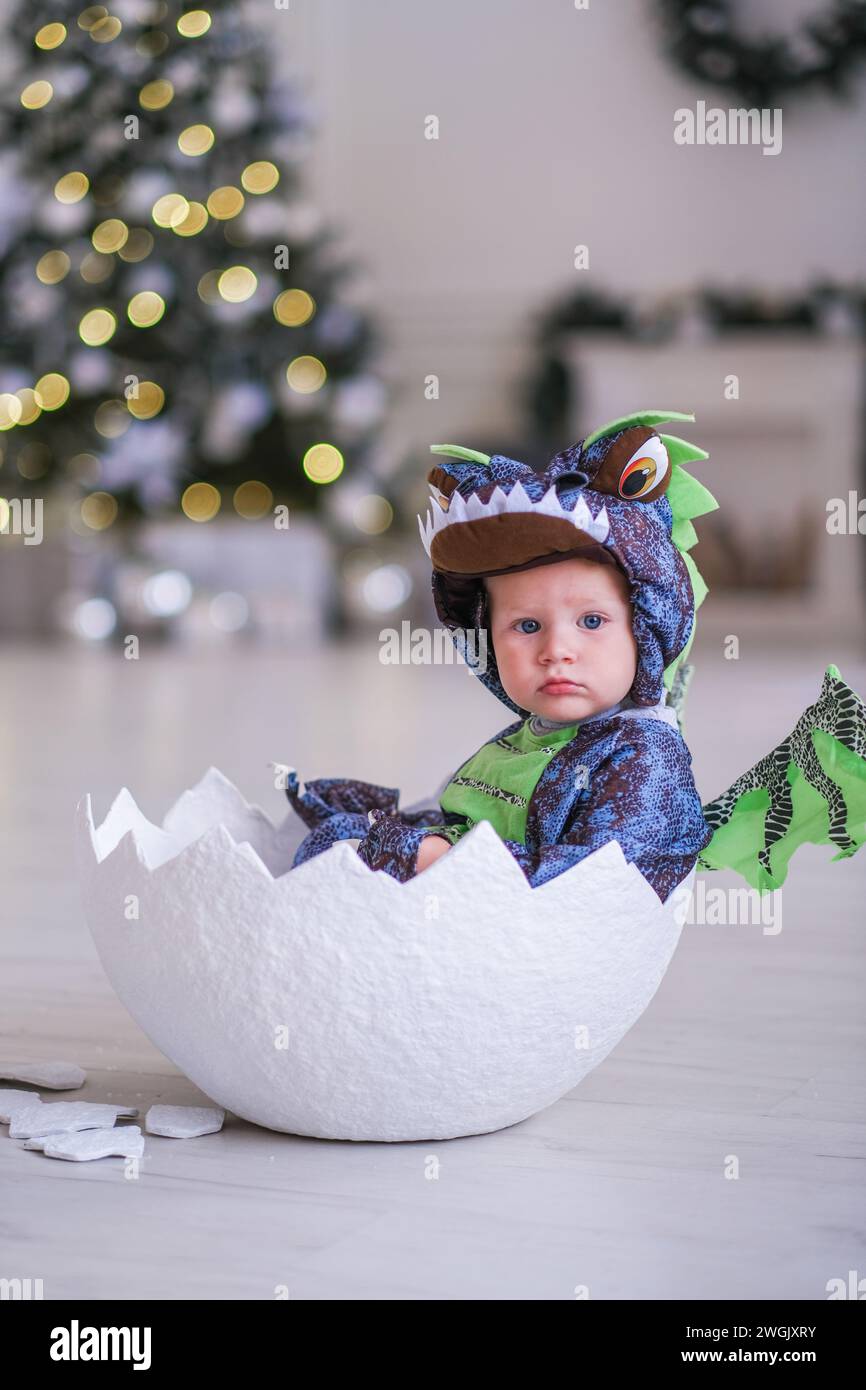 Dragon in the shell hi-res stock photography and images - Alamy