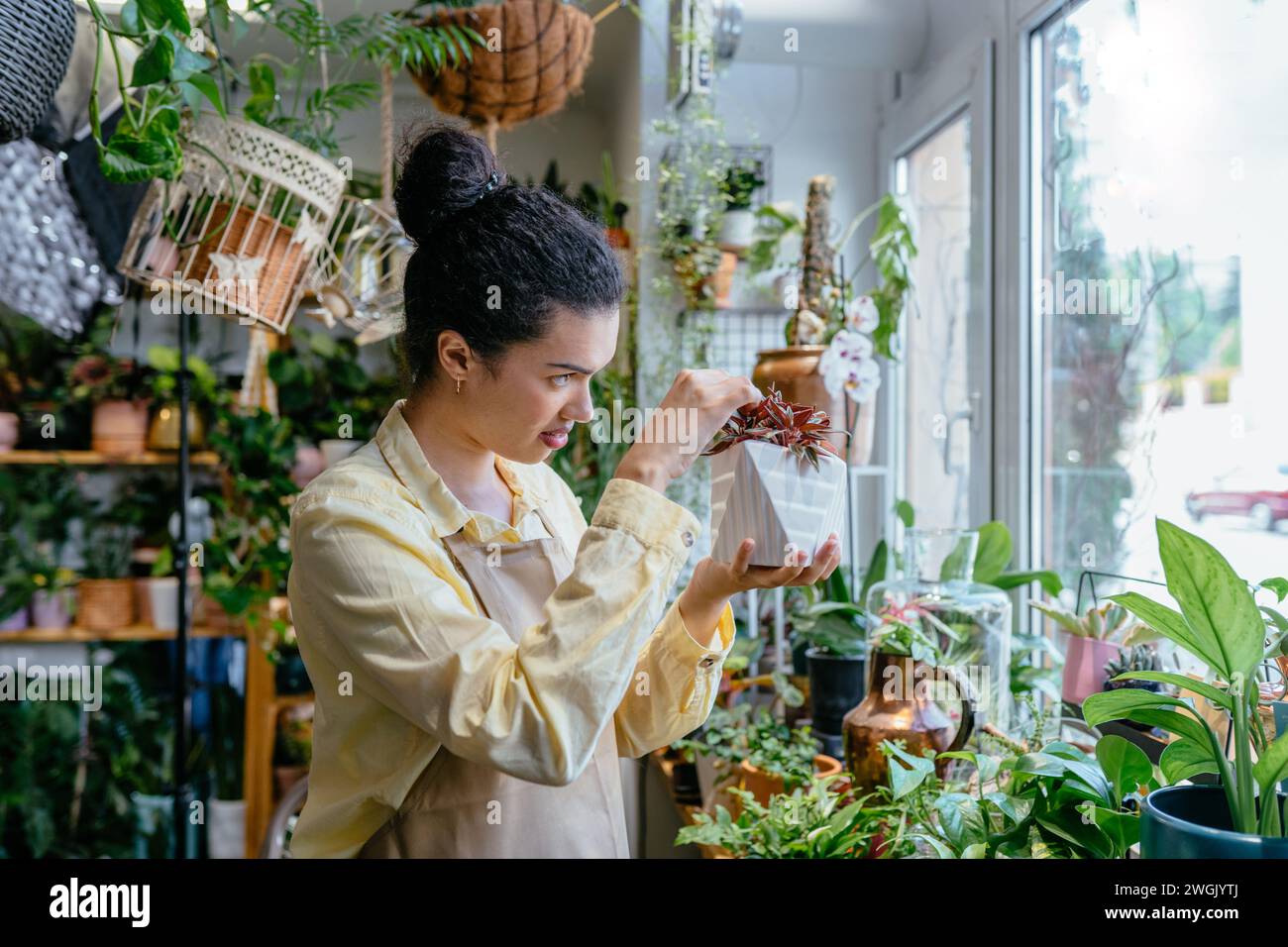 Successful young female plant store owner standing amongst her plants ...