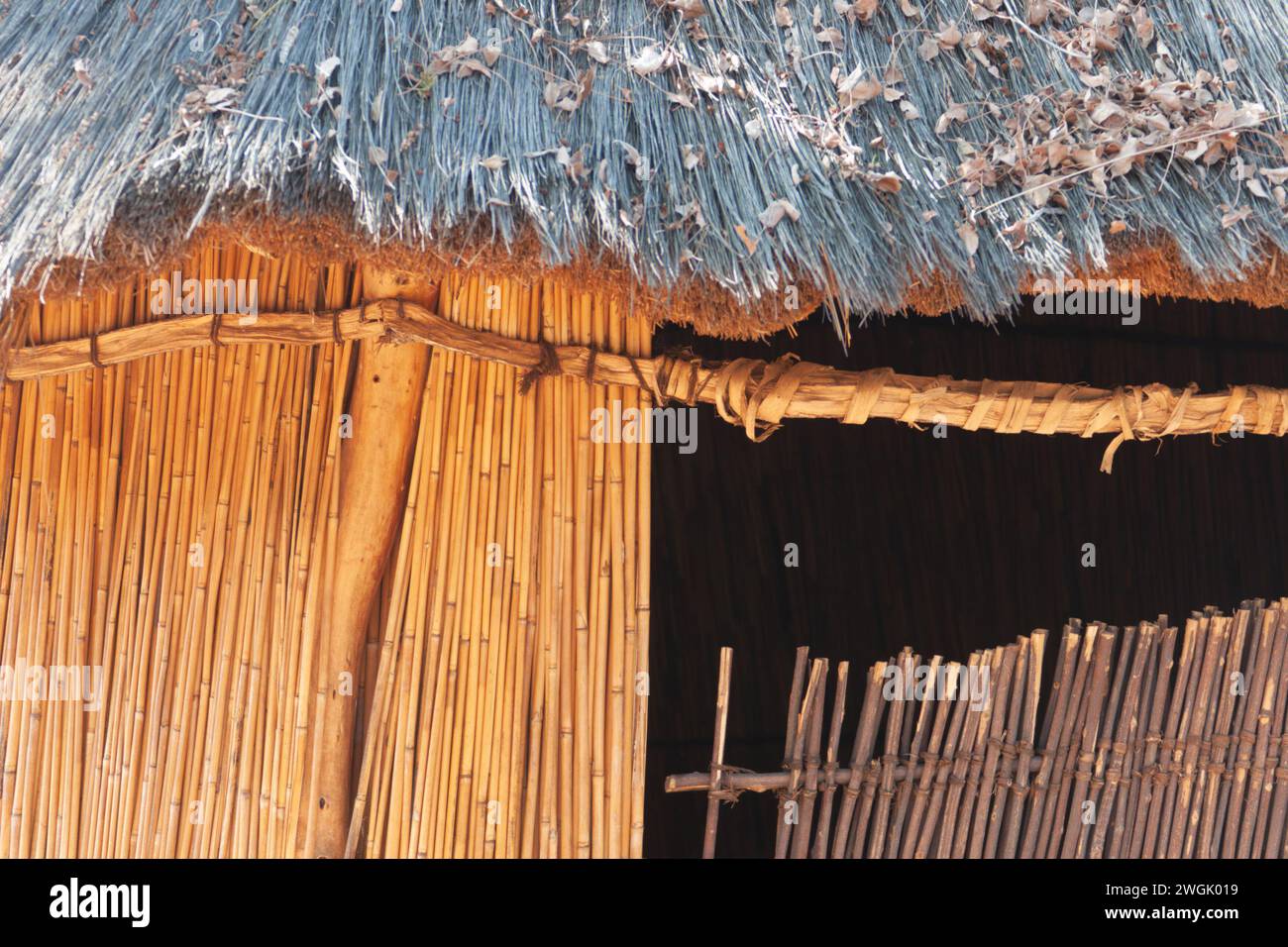 traditional african shack, reed wicker straw walls with thatched roof ...