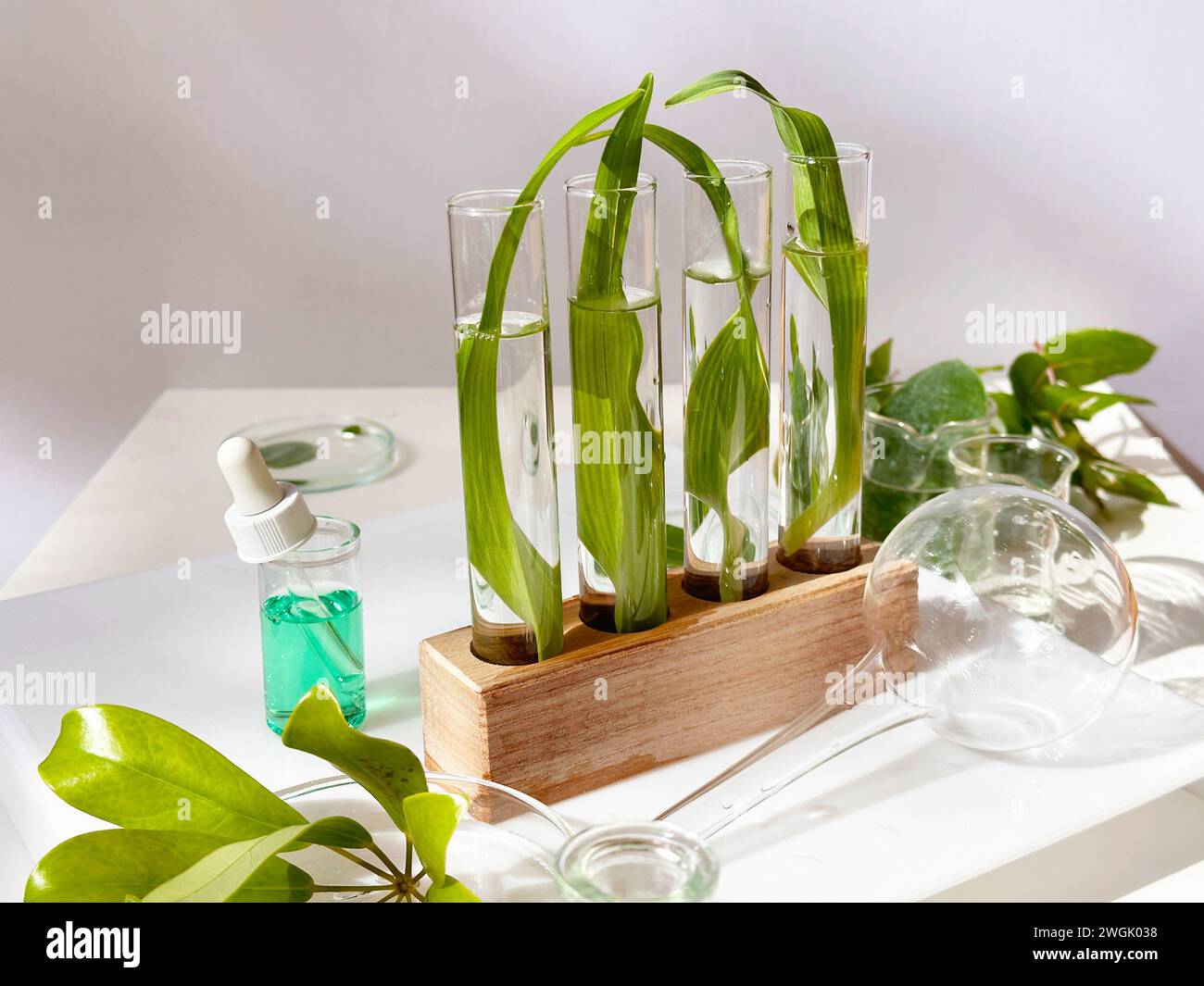 Science and nature concept Stock Photo - Alamy