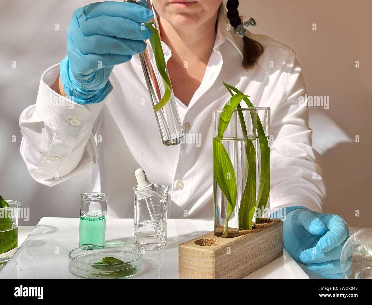 Science and nature concept Stock Photo - Alamy