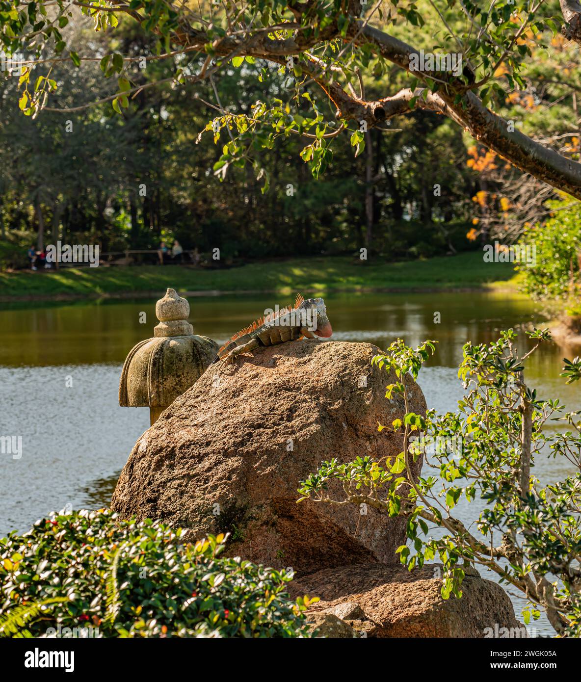 Miami, Florida - Morikami Japanese Park, Garden and Museum one of the ...
