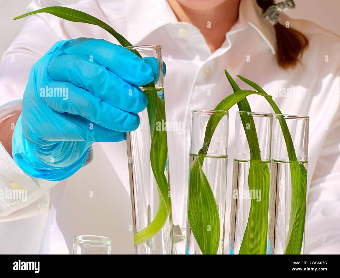Science and nature concept Stock Photo - Alamy