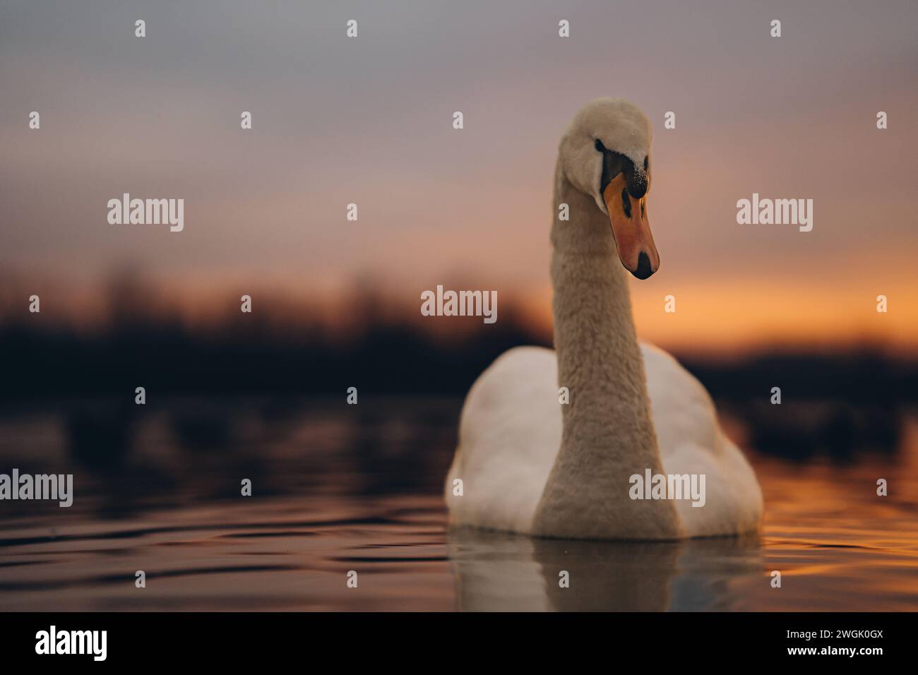 Bagry lake hi-res stock photography and images - Alamy