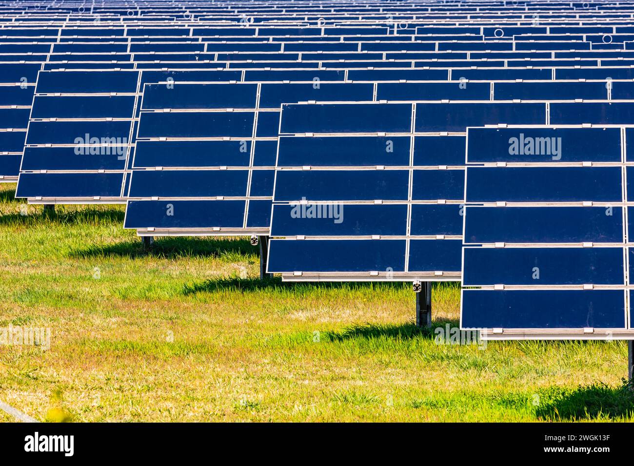 Solar panels of a ground-mounted system from a solar park for renewable ...