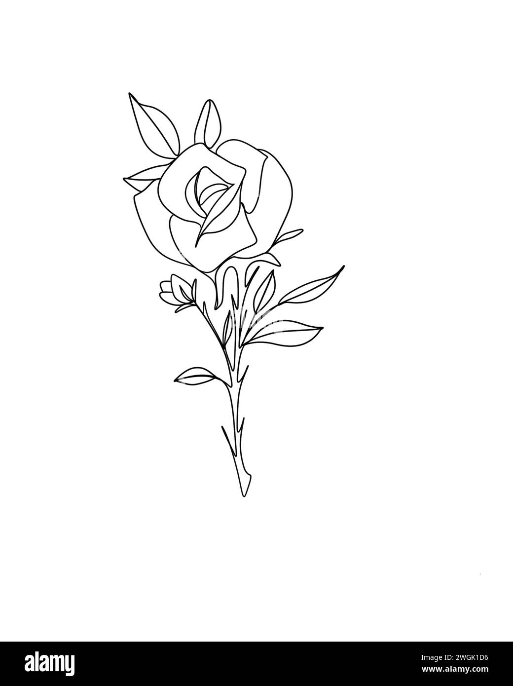 line art drawing of flowers. minimalism sketch, idea for invitation ...